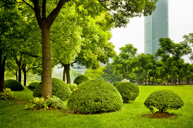 Commercial Lawn Maintenance in Livingston, TX | Vickery Lawn Service