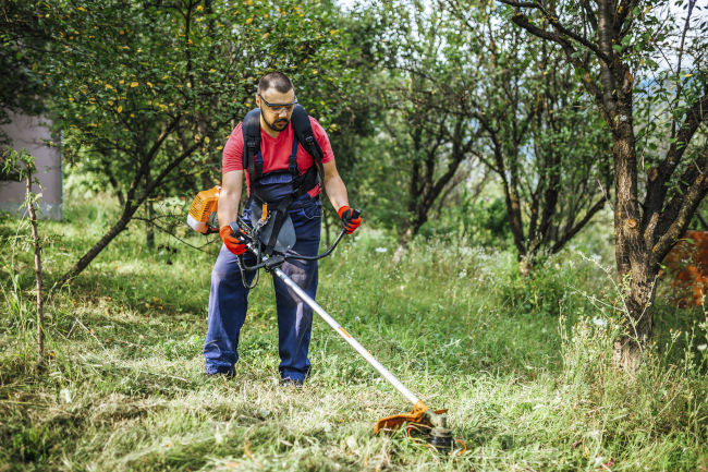 Weed Whacking, Livingston, TX | Vickery Lawn Service