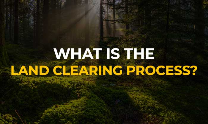 What Is the Land Clearing Process? [infographic] | Vickery Lawn Service ...